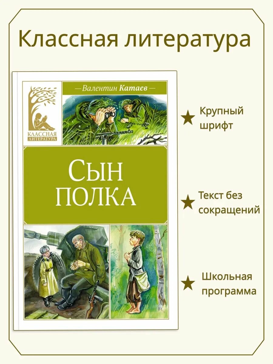 Сын полка. Катаев В. Внеклассное чтение