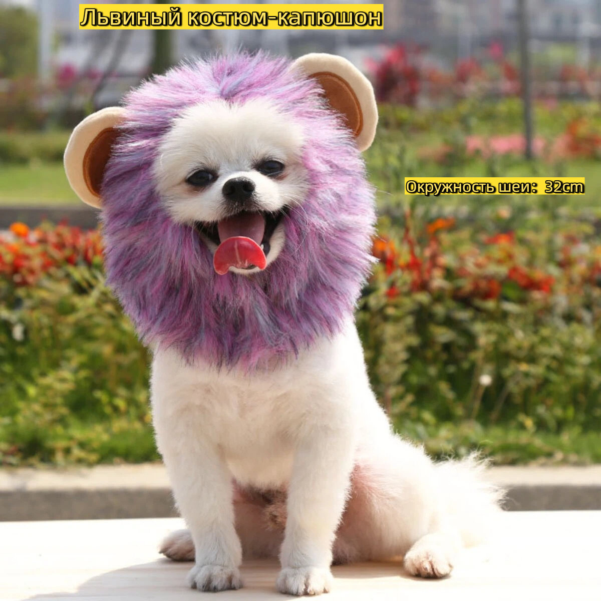 Игривочные парики, Лев Трансформация Pet Собака Собака Кошка Шляпа Регулируемая Кошка Одежда