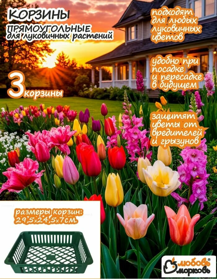 Корзина для луковичных растений, прямоугольная, 3 шт