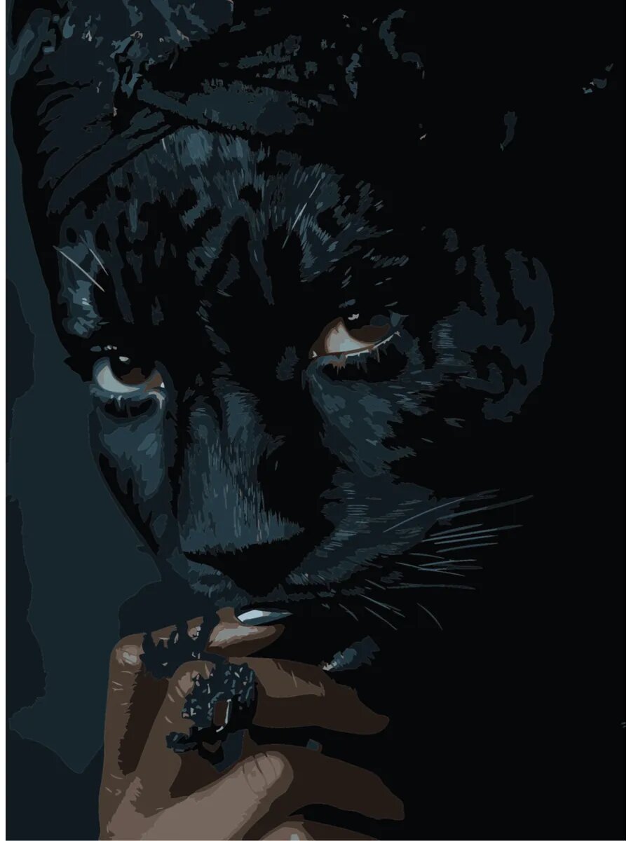 Картина по номерам 30x40 см девушка кошка