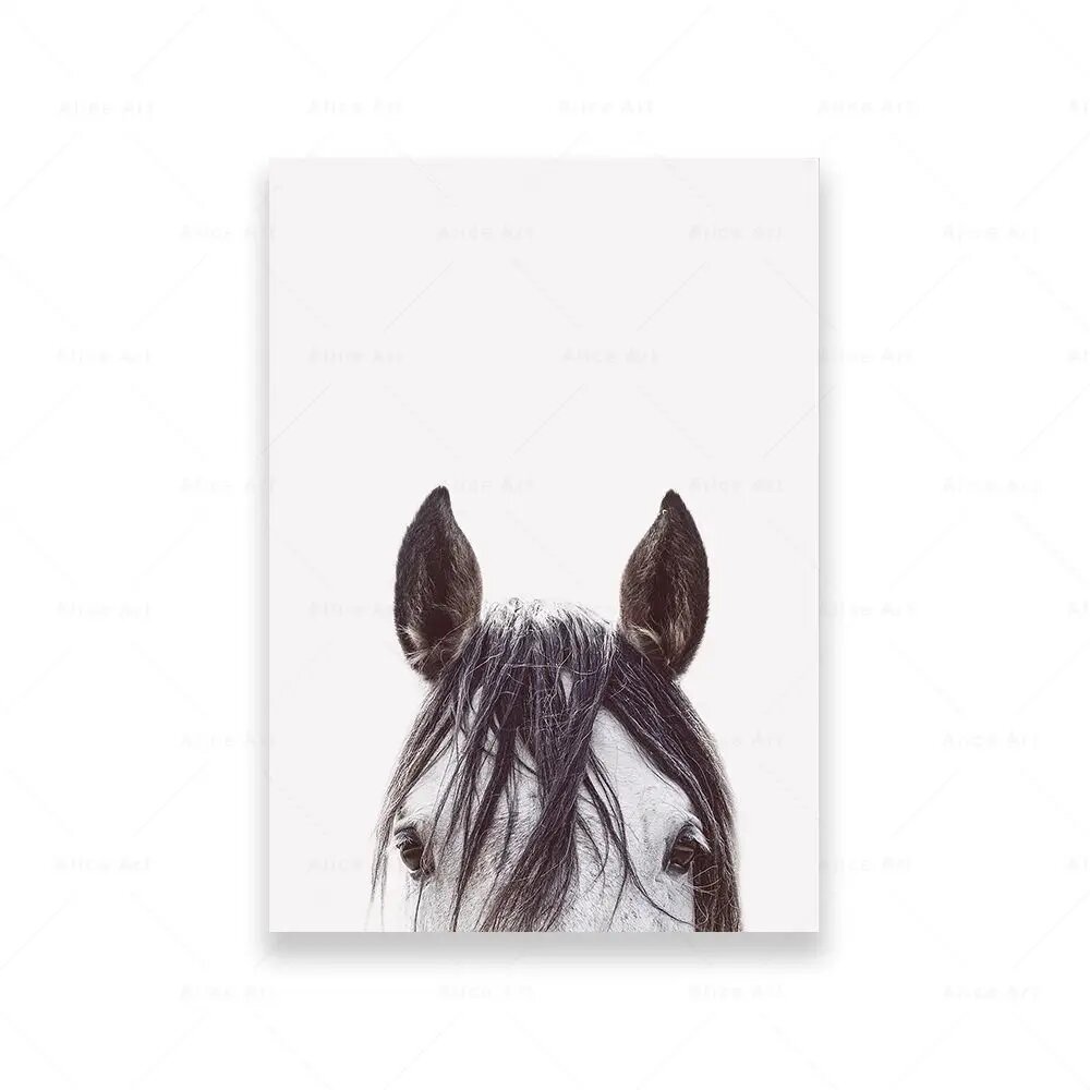 Настенная картина лошадь канвас 4, 40x50cm No Frame