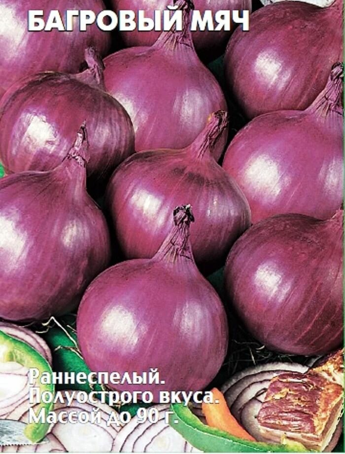 Коллекционные семена лука репчатый Багровый Мяч