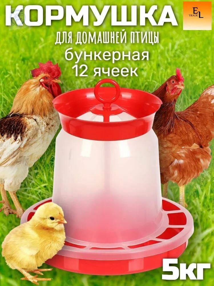 Бункерная кормушка