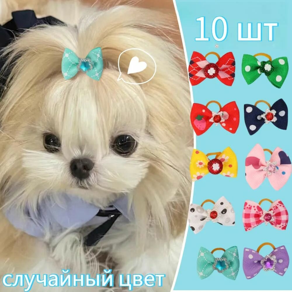 Резинки для животных, подходят для маленьких и средних собак, 10 шт.