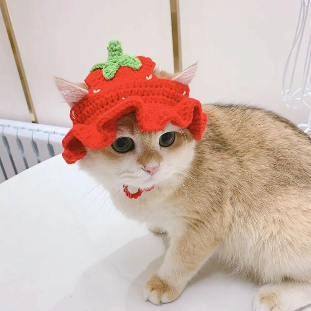 Кошка шляпа — фото 1