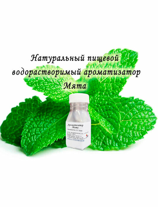 Пищевой ароматизатор Takasago "Мята", натуральный, водорастворимый, 100мл