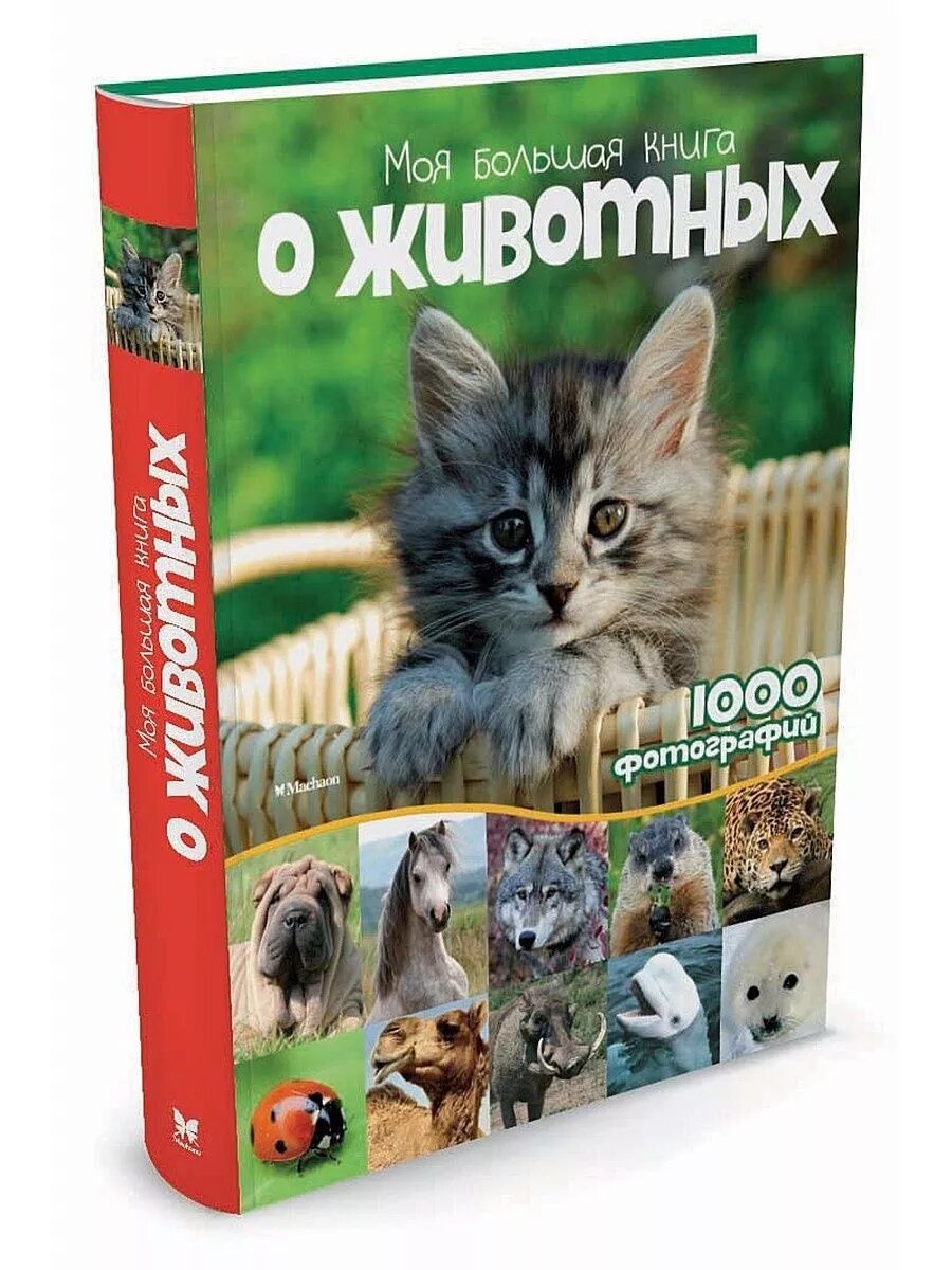 Книга "Моя большая книга о животных", издательство Махаон, твердый переплет, 384 стр