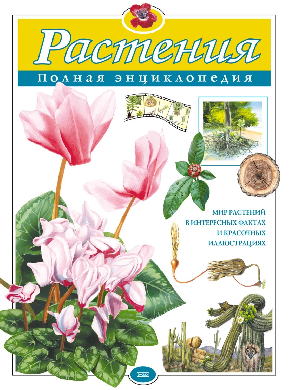 Растения. Полная энциклопедия [Цифровая книга]
