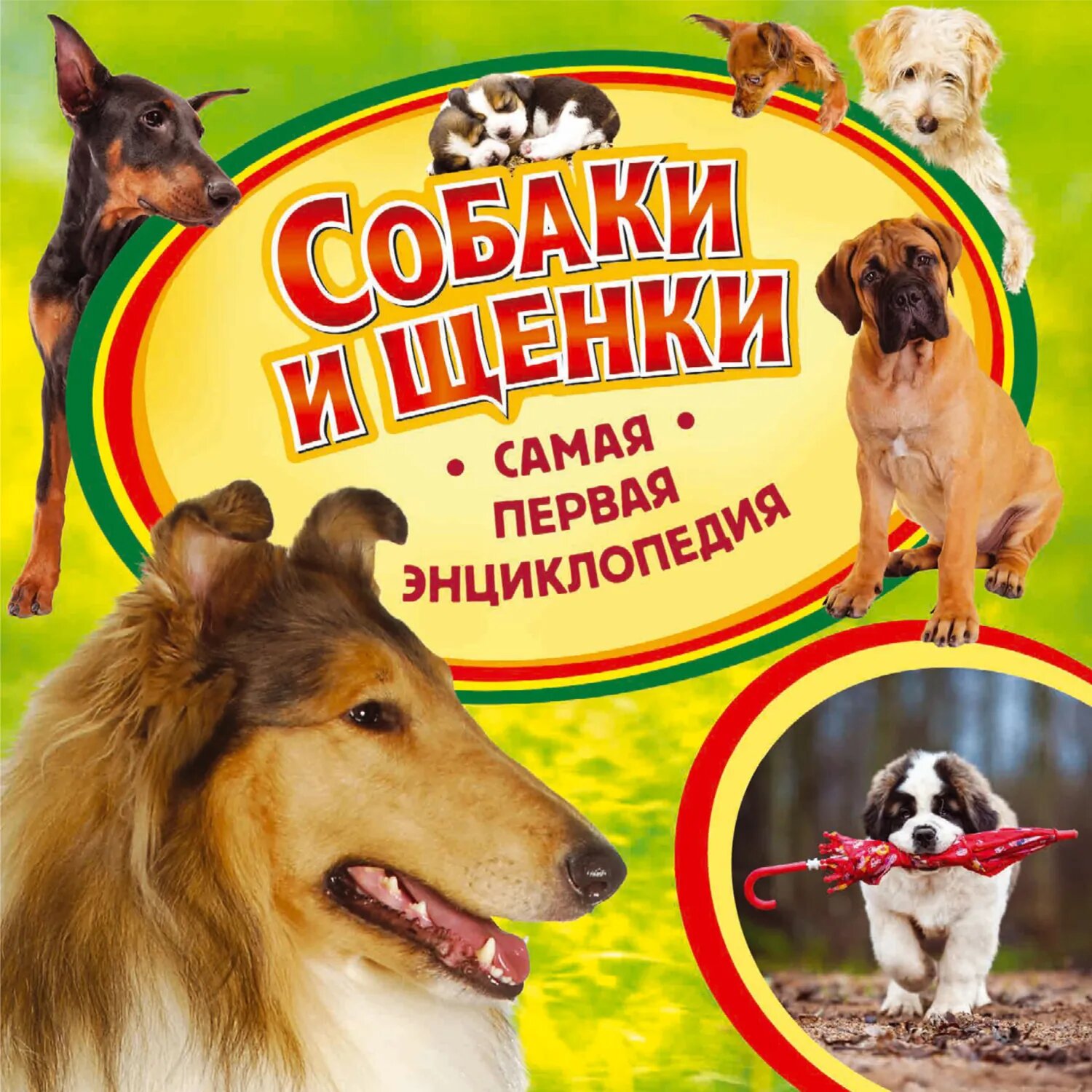 Собаки и щенки [Цифровая книга]