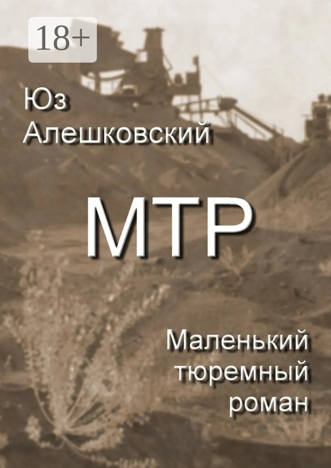 Маленький тюремный роман [Цифровая книга]