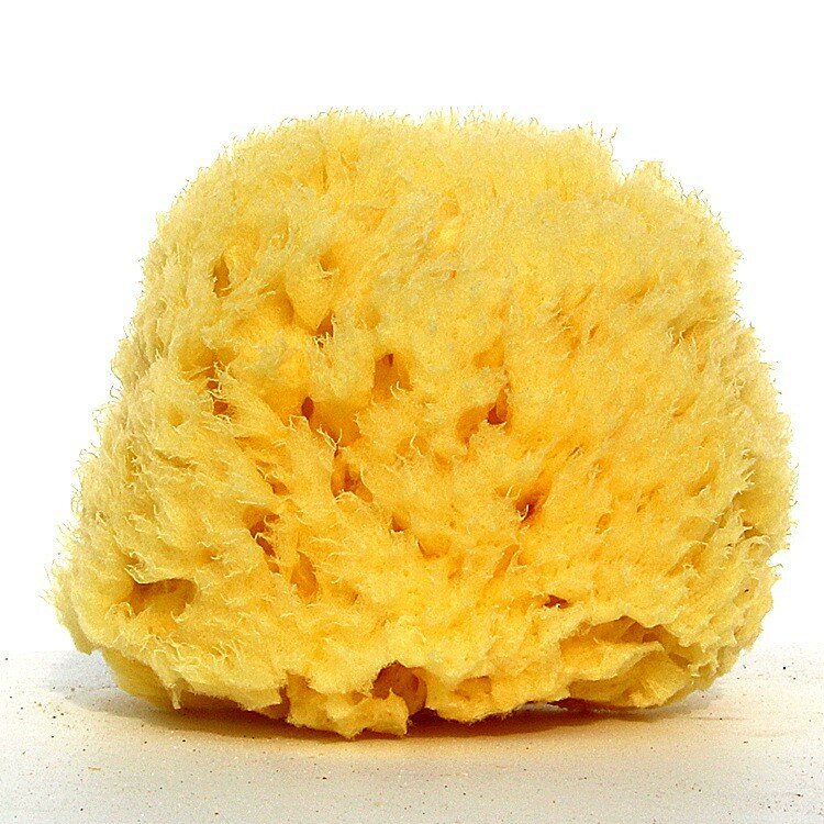 Натуральная греческая губка для умывания в виде сот, мягкая, удобная, впитывающая губка для ванны для взрослых