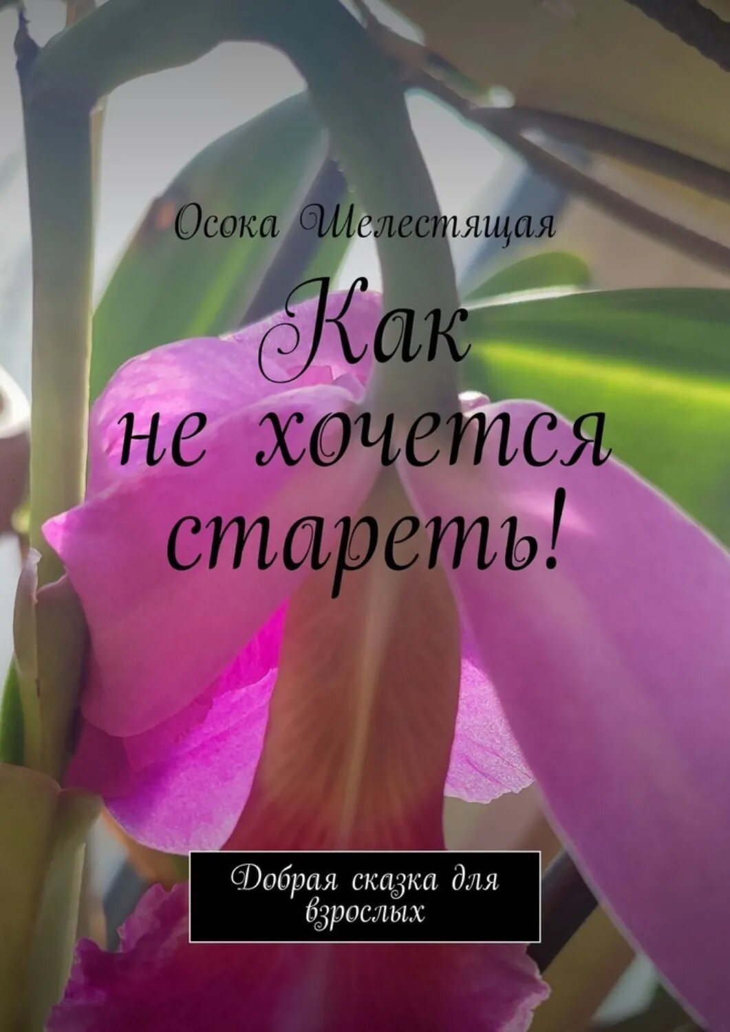 Как не хочется стареть! Добрая сказка для взрослых [Цифровая книга]