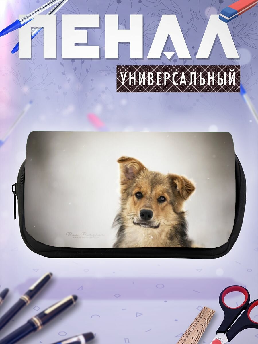 Школьный пенал пес собака породы