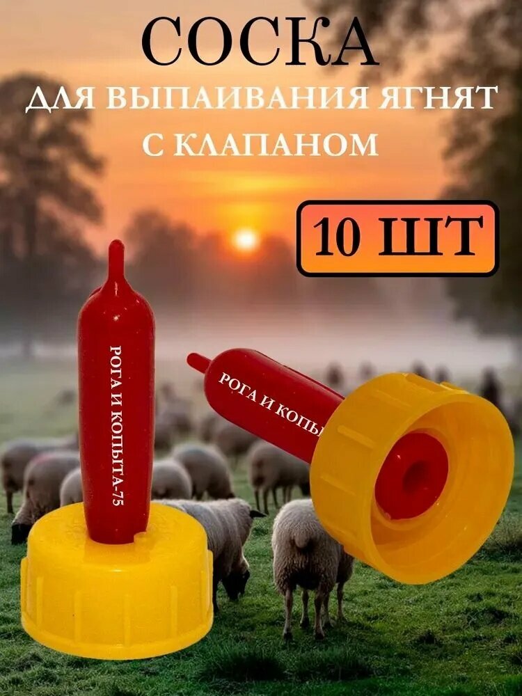 Соска для ягнят 65 мм, поросят, щенят на крышке с резьбой под пластиковую бутылку (10 штук)