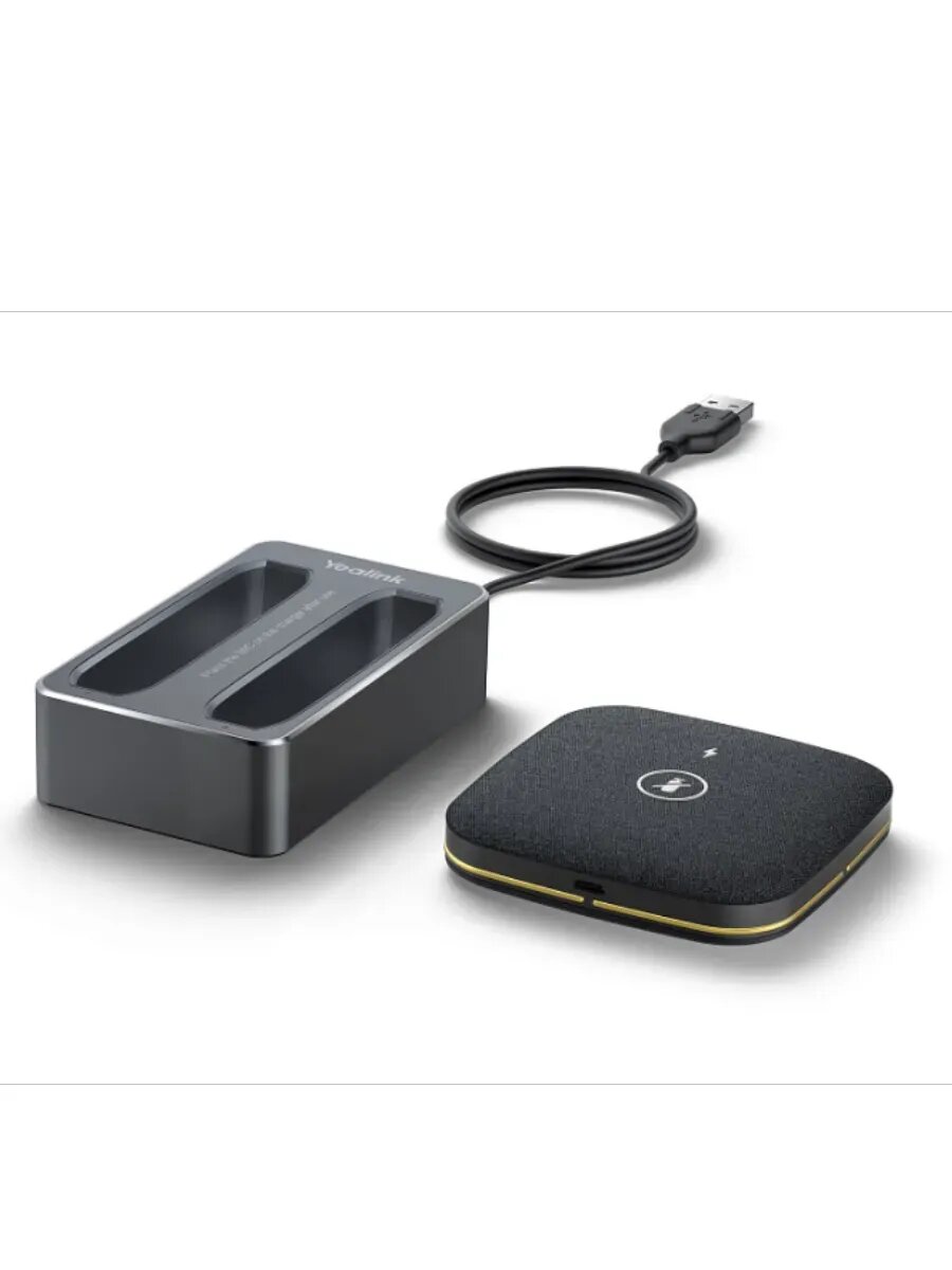 Спикерфон черный (CPW65-DECT-DUO)