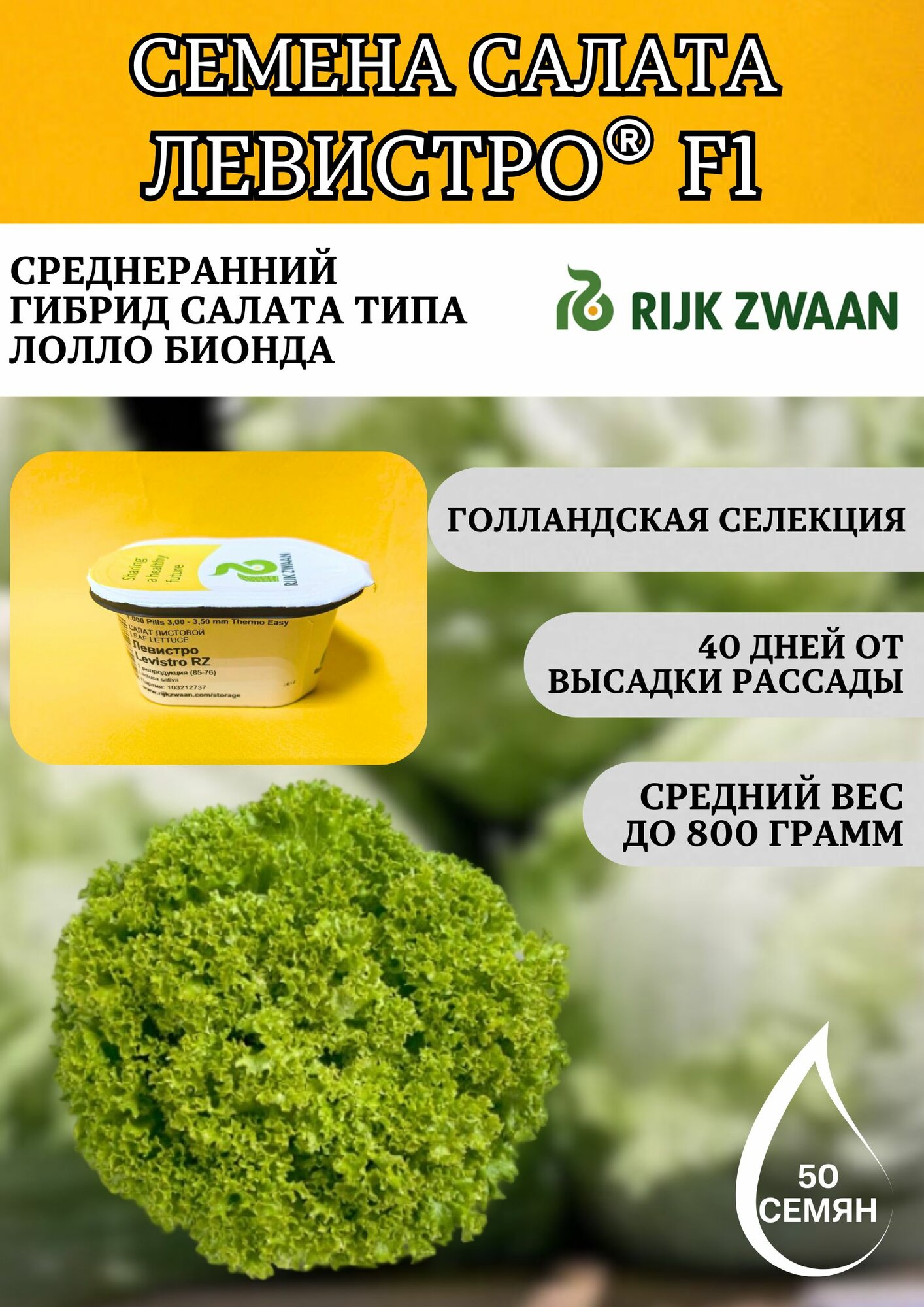 Профессиональные семена Салата Левистро Rijk Zwaan F1 50 семян