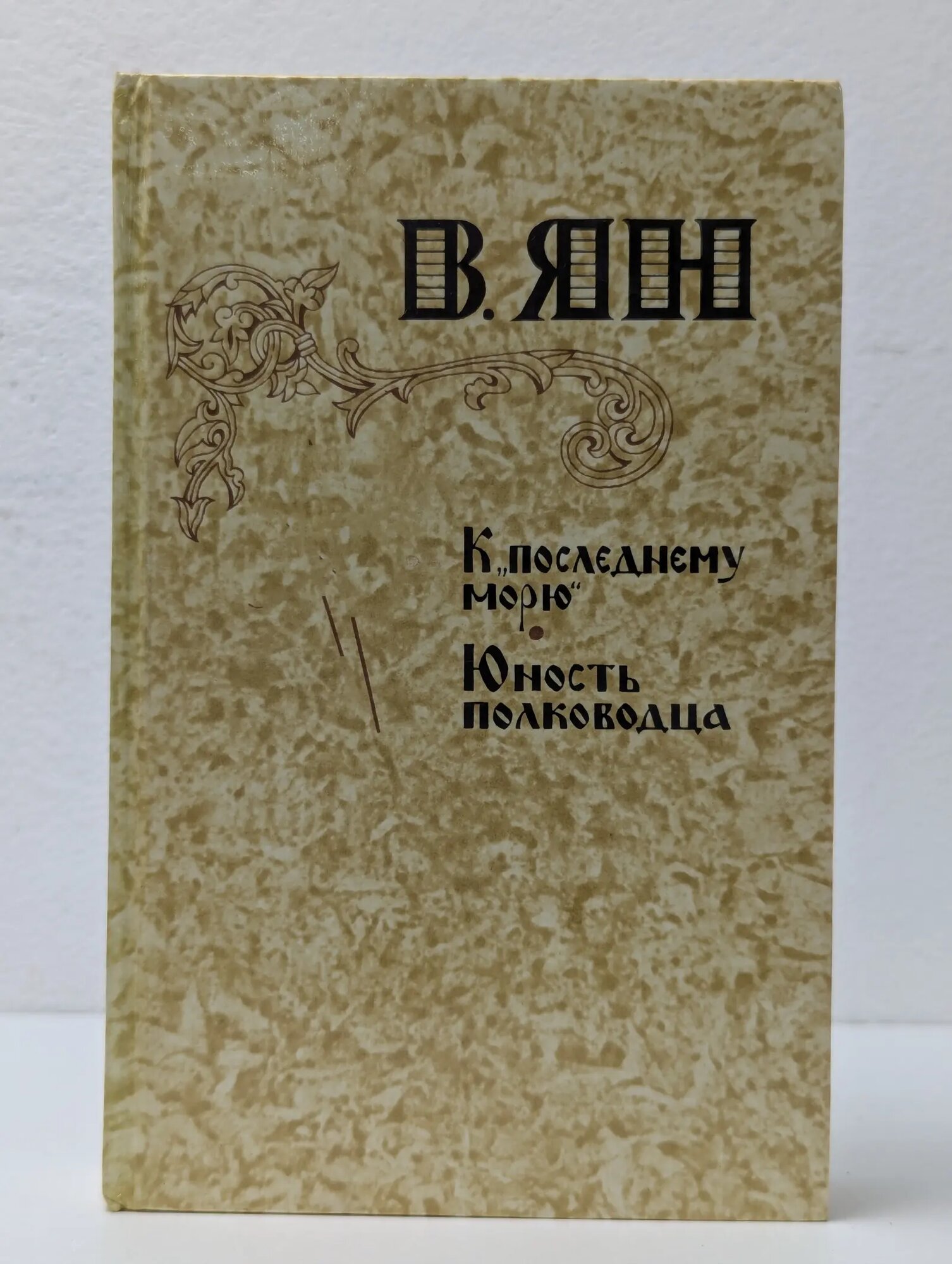 К последнему морю. Юность полководца Ян Василий Георгиевич 1981