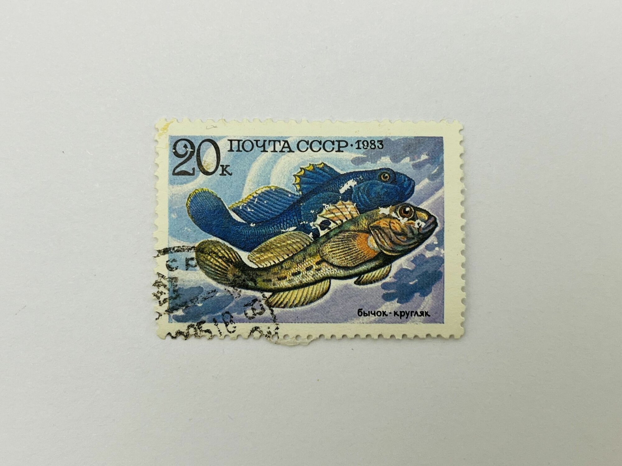 Почтовая марка - Промысловые рыбы. Бычок-кругляк. Фауна. СССР. 1983. Загорский: 5349. Гашен