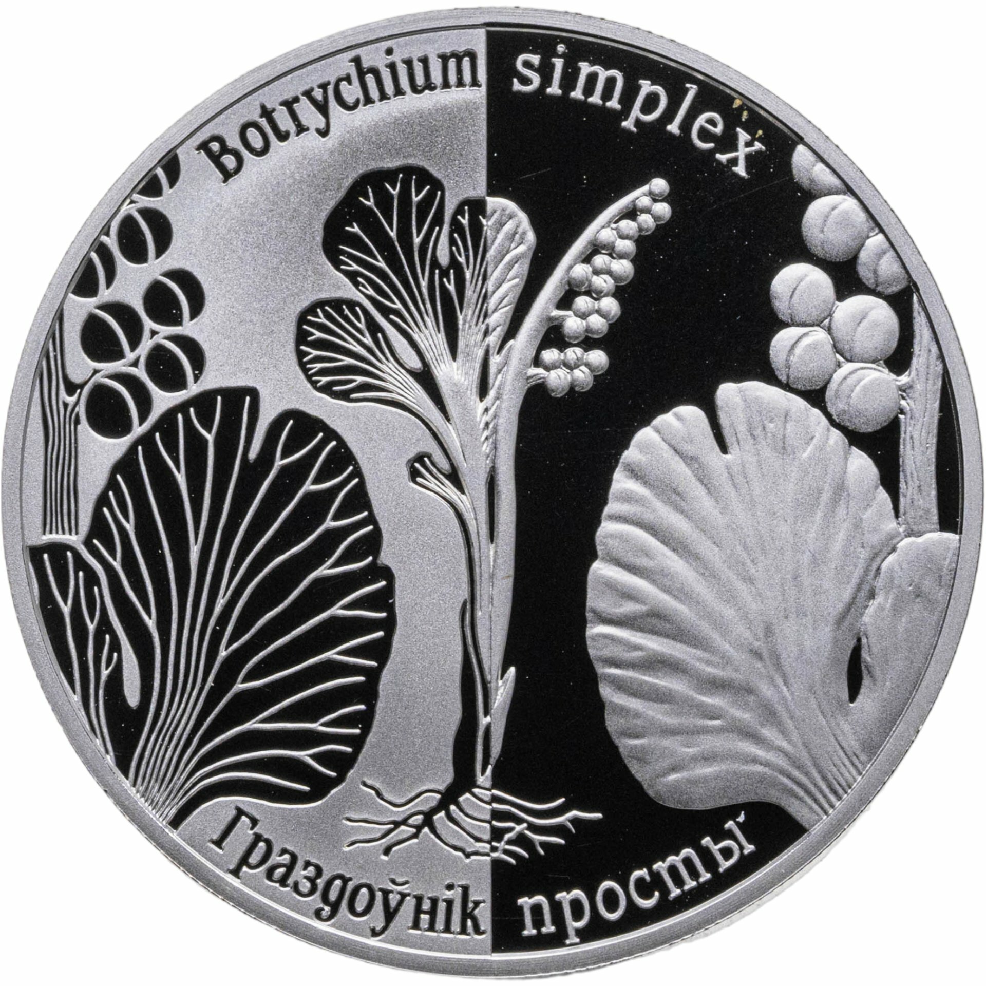 Беларусь 1 рубль 2014 Возрожденные растения - Гроздовник простой, Мельхиор медь-никель, в сохранности Proof