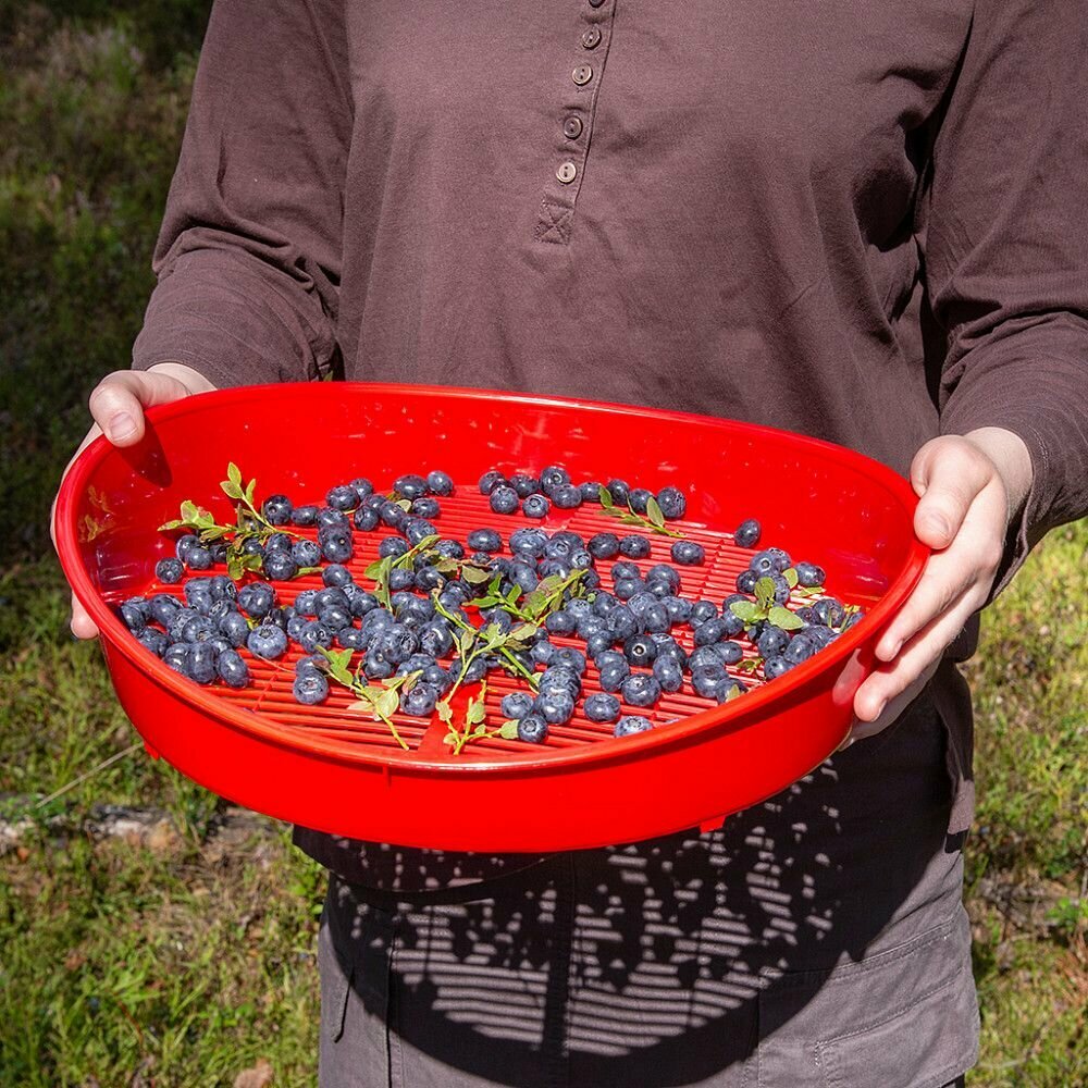 Сито для просеивания и переборки ягод "Финское" 36х36,5х5-8,2см, пластик матовый (подходит для всех типов ягод), цвет - красный