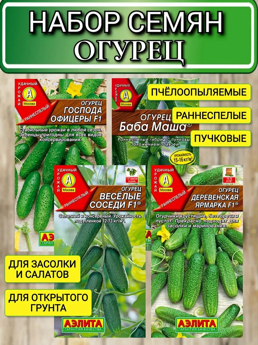 Семена огурцов для открытого грунта и засолки: Баба Маша, Господа офицеры, Веселые соседи, Деревенская Ярмарка