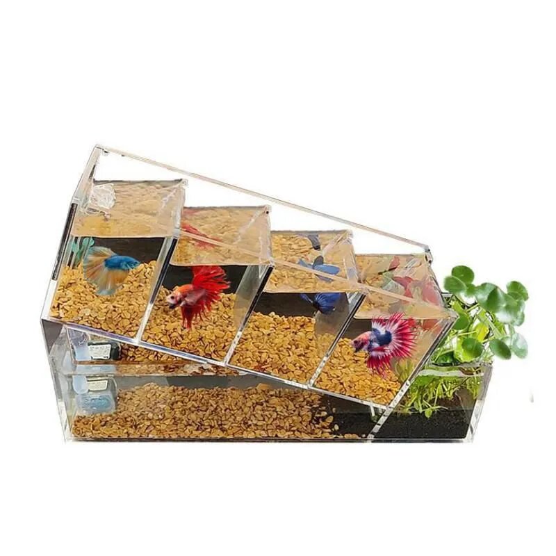 Аквариум Для Петушка