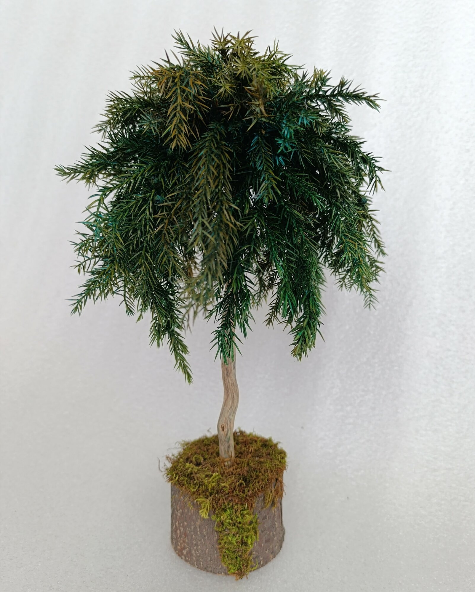Декор. Дерево сувенирное из стабилизированного можжевельника, топиарий "Изумрудный" от мастерской "Поделки домового"