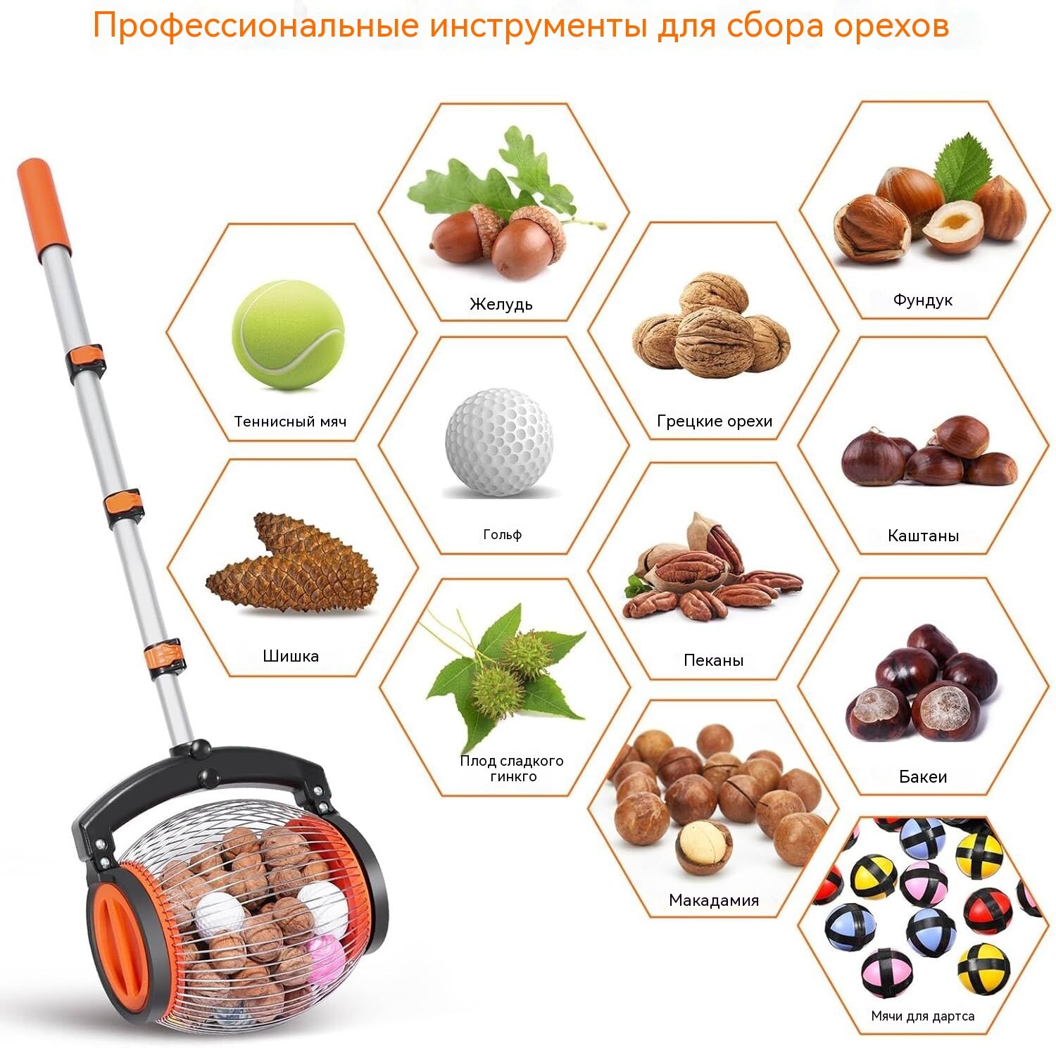 Сборщик орехов — фото 1