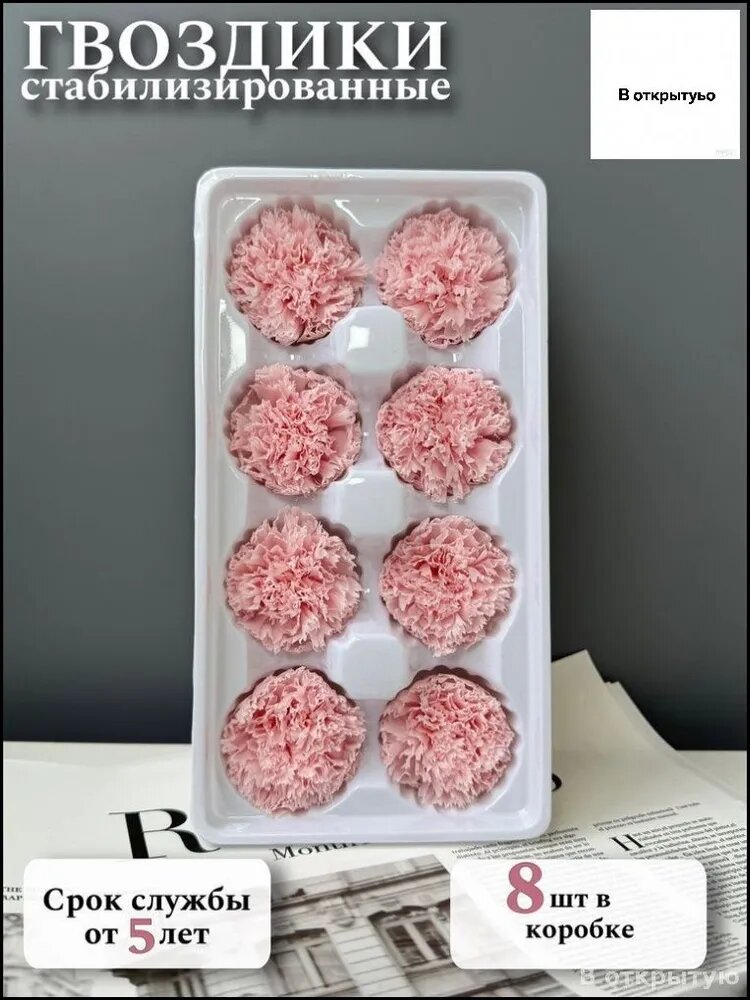 Стабилизированные цветы Гвоздика, 1 шт