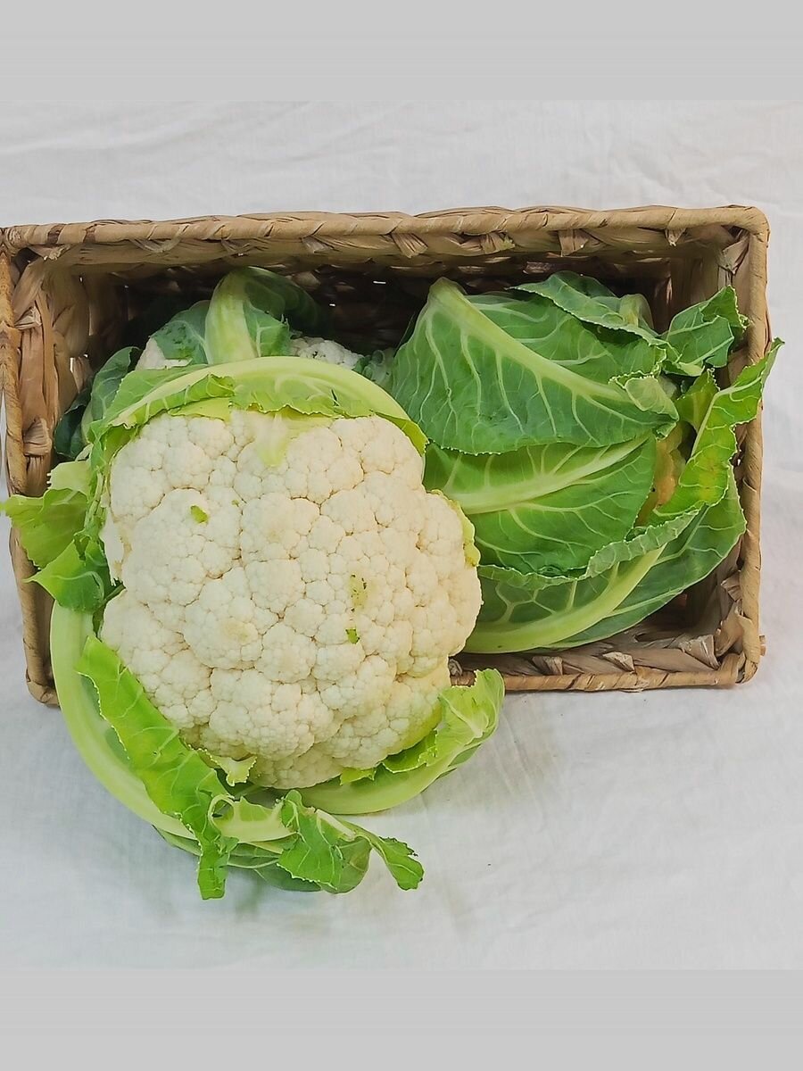 Капуста "Цветная"множество мелких соцветий, собранных в компактный «головной убор» 1-1.5 кг