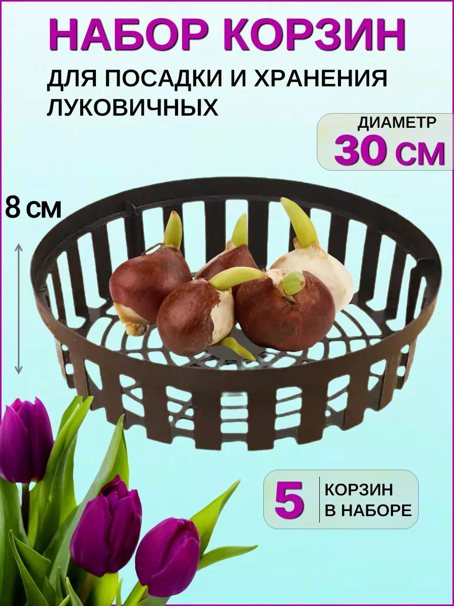 Корзина для луковичных 5 штук