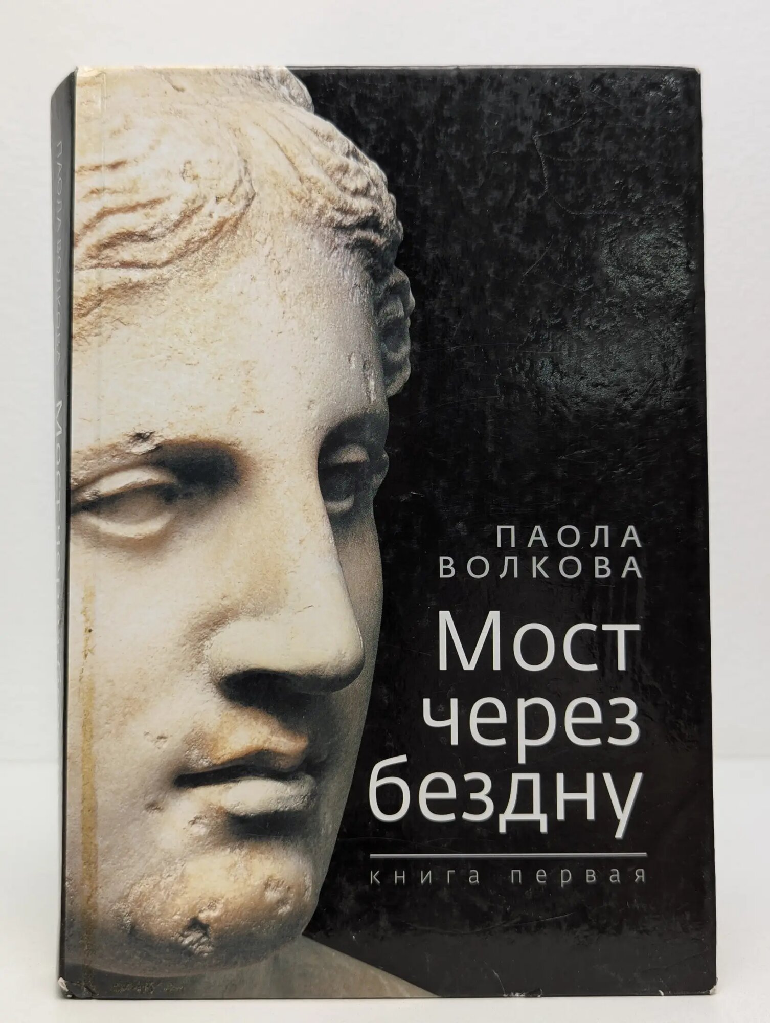 Мост через бездну. Книга 1 Волкова Паола Дмитриевна 2021