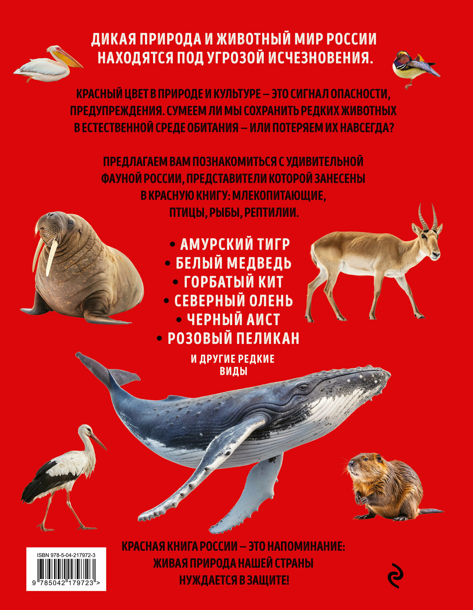 Книга "Красная книга России. Большой формат. Более 500 уникальных иллюстраций и фактов (новое издание) (осн", автор Добрыня Ю. М, издательство Эксмо
