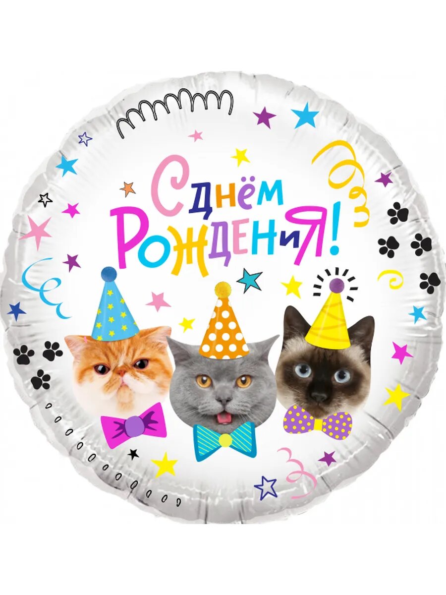 Шар (18'/46 см) Круг, Котики, С Днем Рождения, 1 шт. в уп.