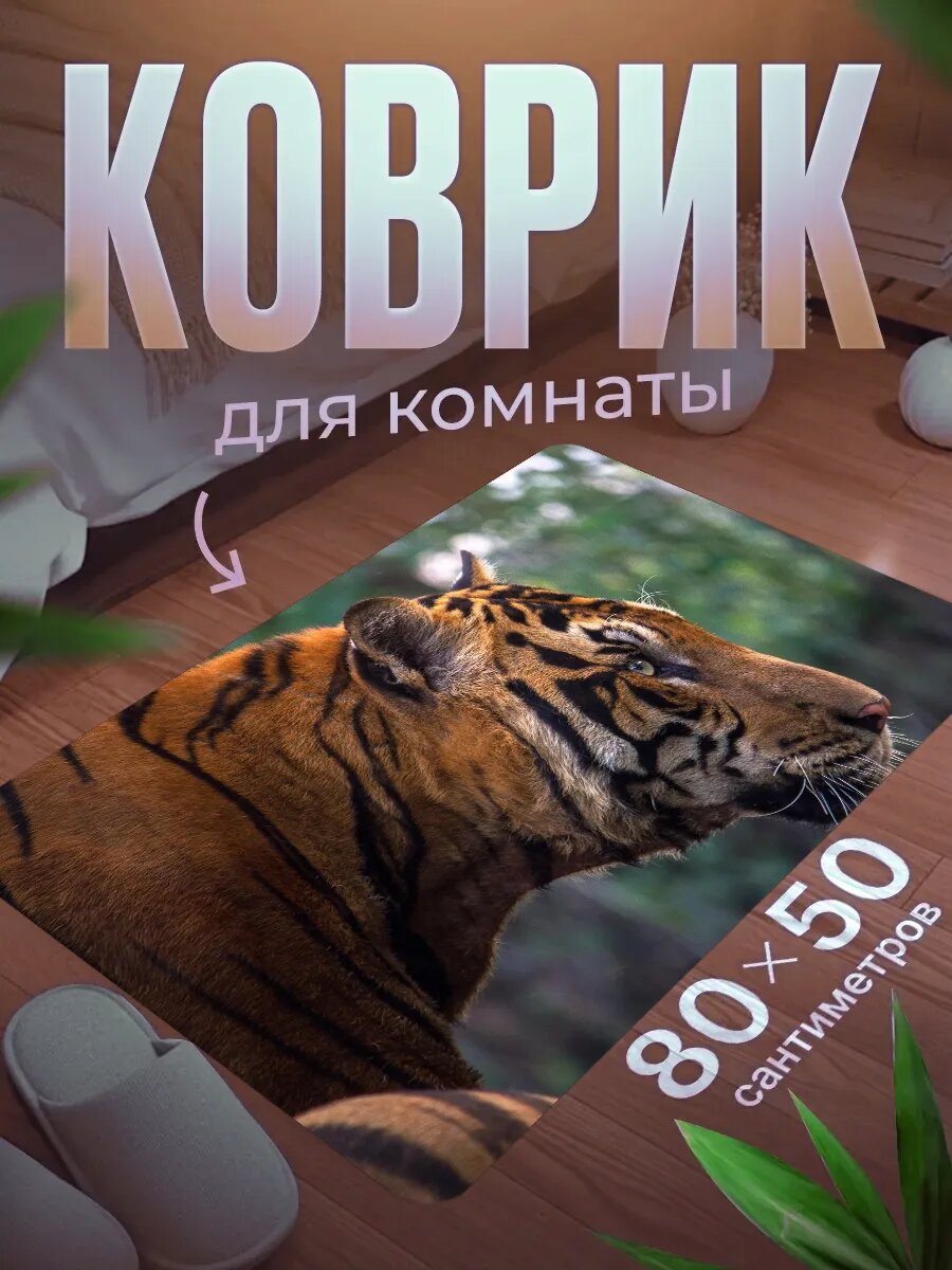 Коврик для ног 80×50 см мягкий, влагостойкий, нескользящий