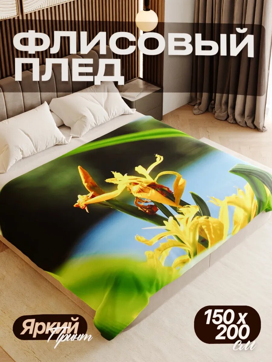 Плед флисовый 150х200 см мягкий теплый покрывало для дома