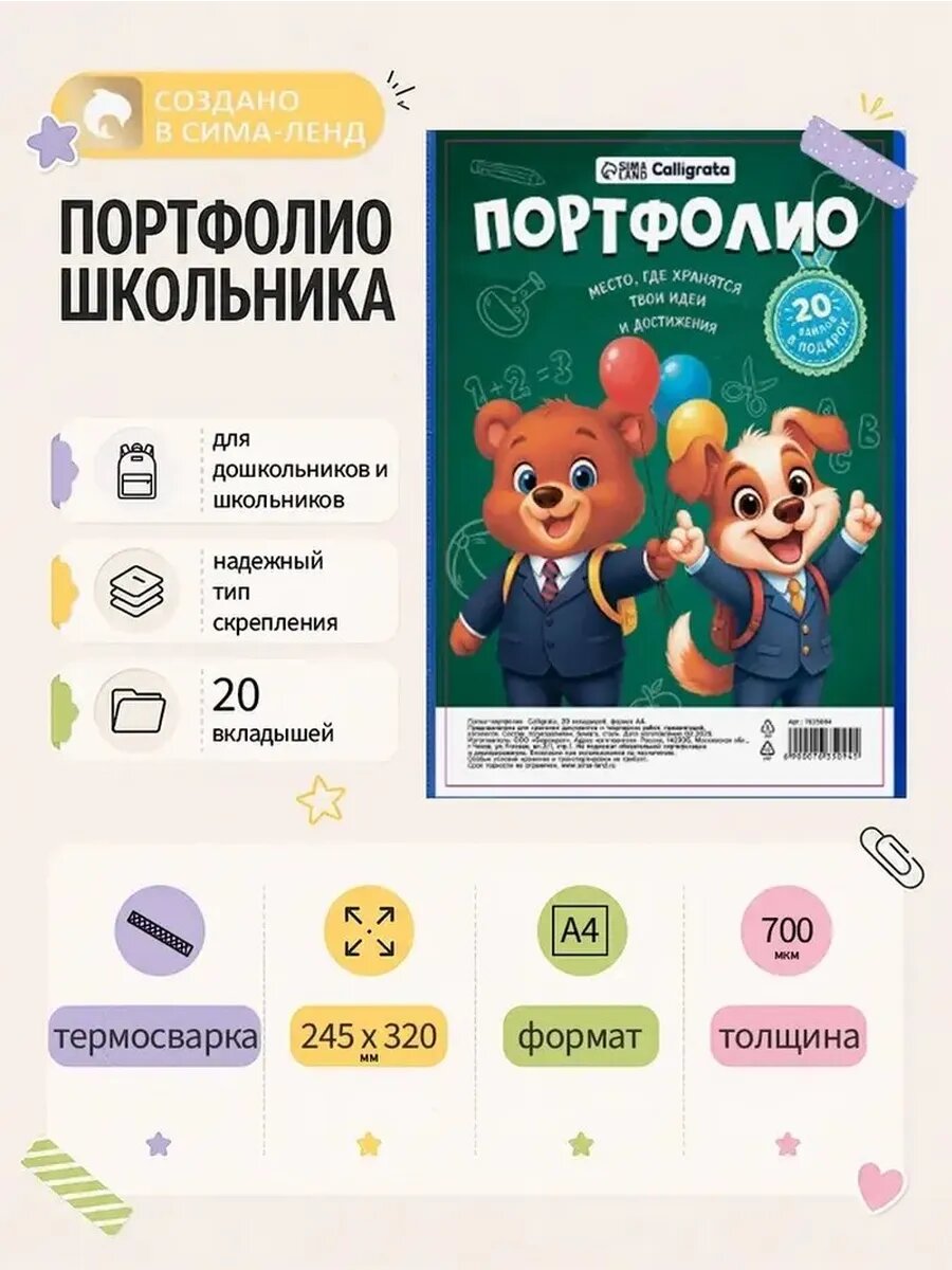 Пластиковая папка-портфолио для учёбы и творчества
