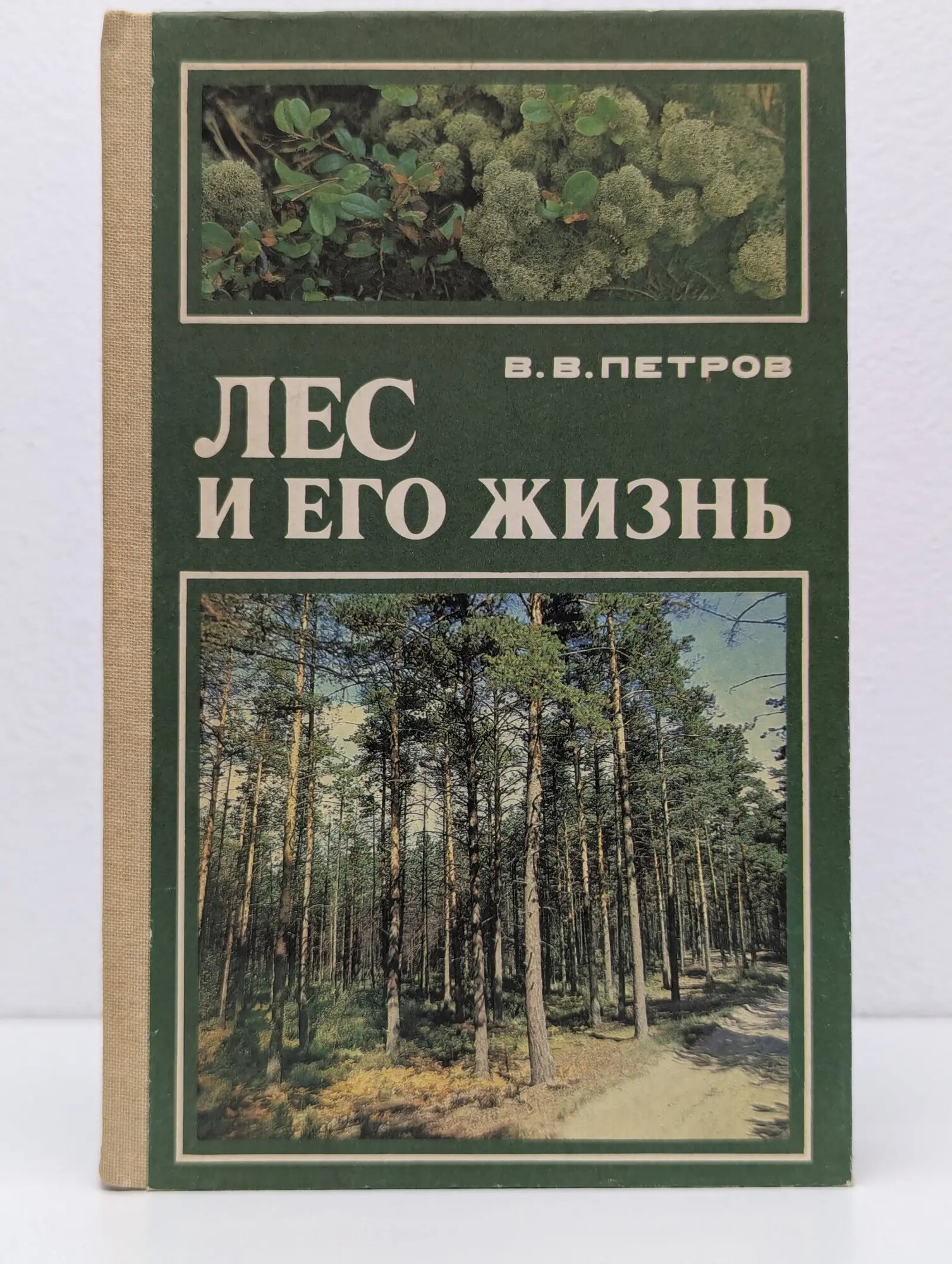 Лес и его жизнь Петров Владимир Владимирович 1986