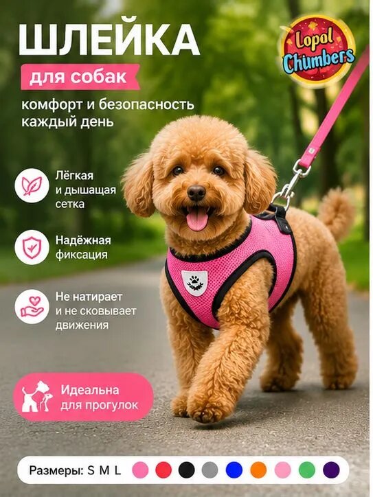 Шлейка для кошек, собак мелких, средних пород/щенков, взрослых животных с поводком, светоотражающей нашивкой/ прогулочная, анатомическая, регулируемая для дрессировки. ическа, я