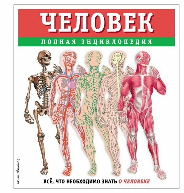 Энциклопедия ЭКСМО Человек. Полная. 2024 год, Ю. К. Школьник