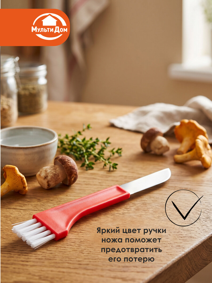 Нож грибника , нержавеющая сталь, с чехлом и щеточкой, серебристый, белый — фото 1
