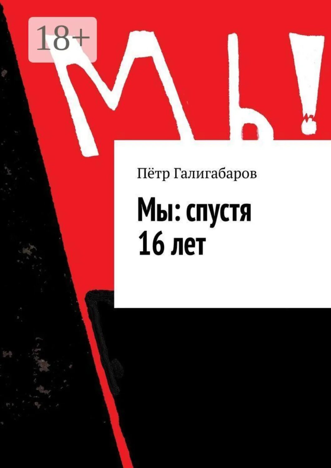 Мы: спустя 16 лет [Цифровая книга]