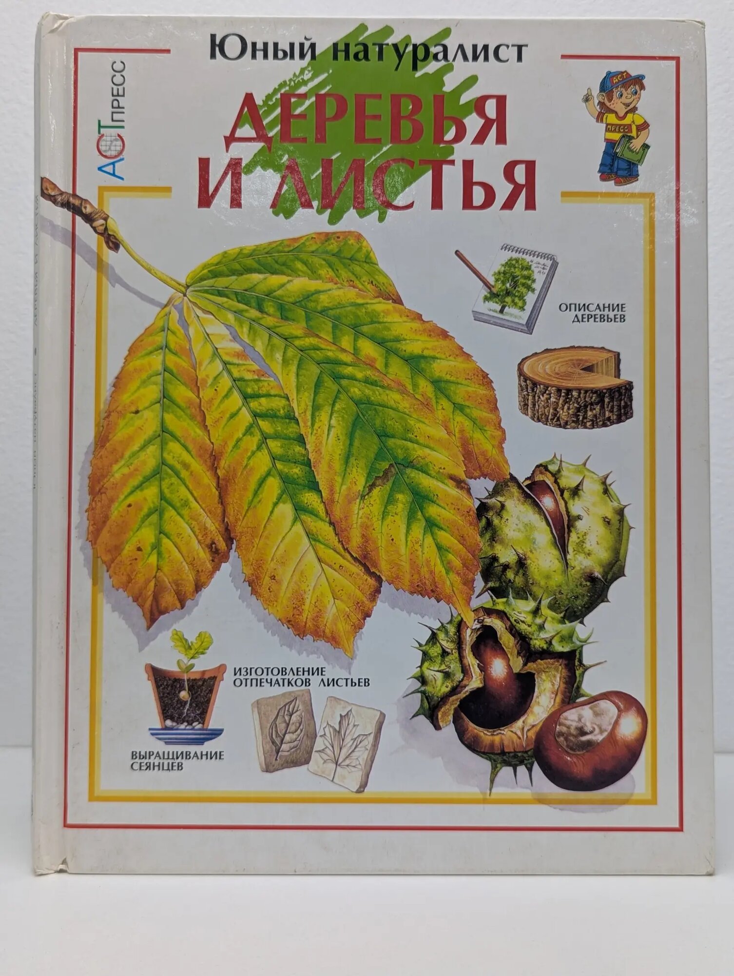 Юный натуралист. Деревья и листья Селберг Ингрид, Стефенс Маргарет 1997