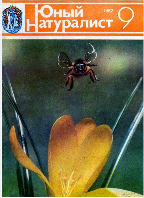 Журнал Юный натуралист №09 1982 г.