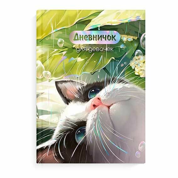 Дневничок для девочек Феникс А5, 48 л, "Утренний кот", твердая обложка, глянцевая ламинация, тиснение фольгой
