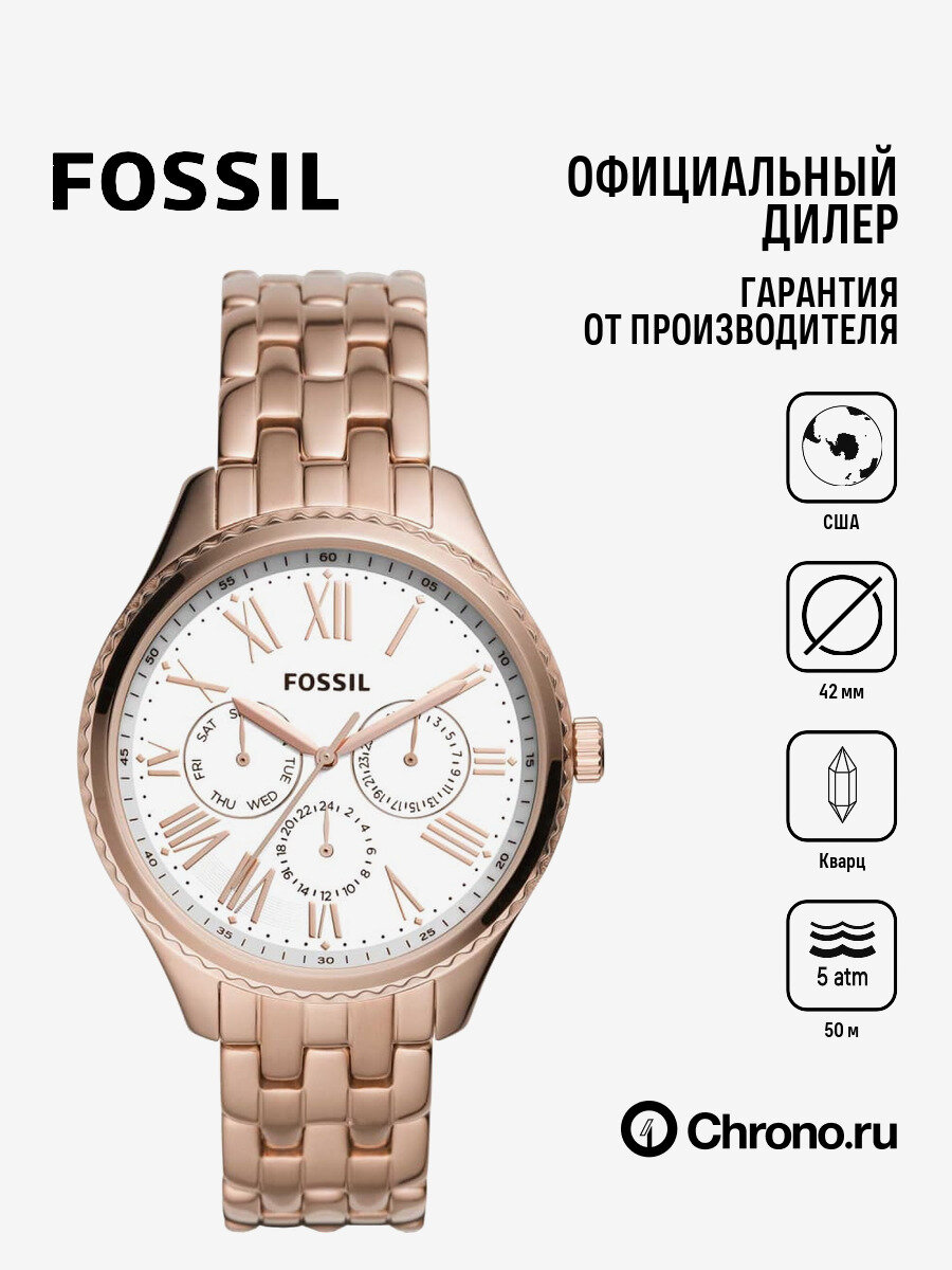  FOSSIL Redding