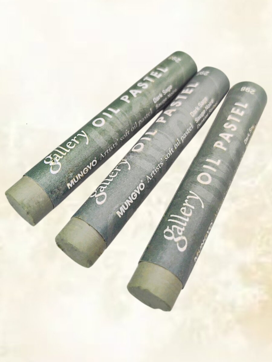 Пастель масляная мягкая профессиональная MUNGYO Gallery Темно-Болотный №298 (3шт)