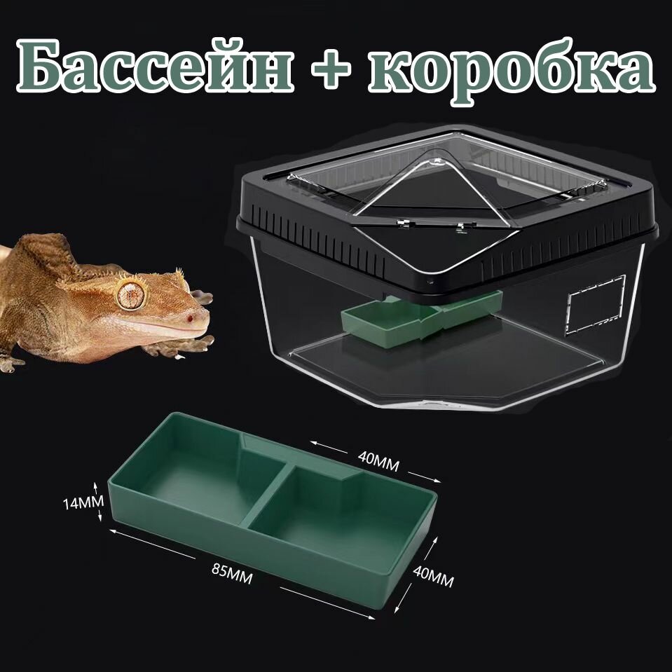 Маленькие карабковые ящики для кормления, внимание не стекло, для лягушек, крабов, червей, омаров черепах и других животных