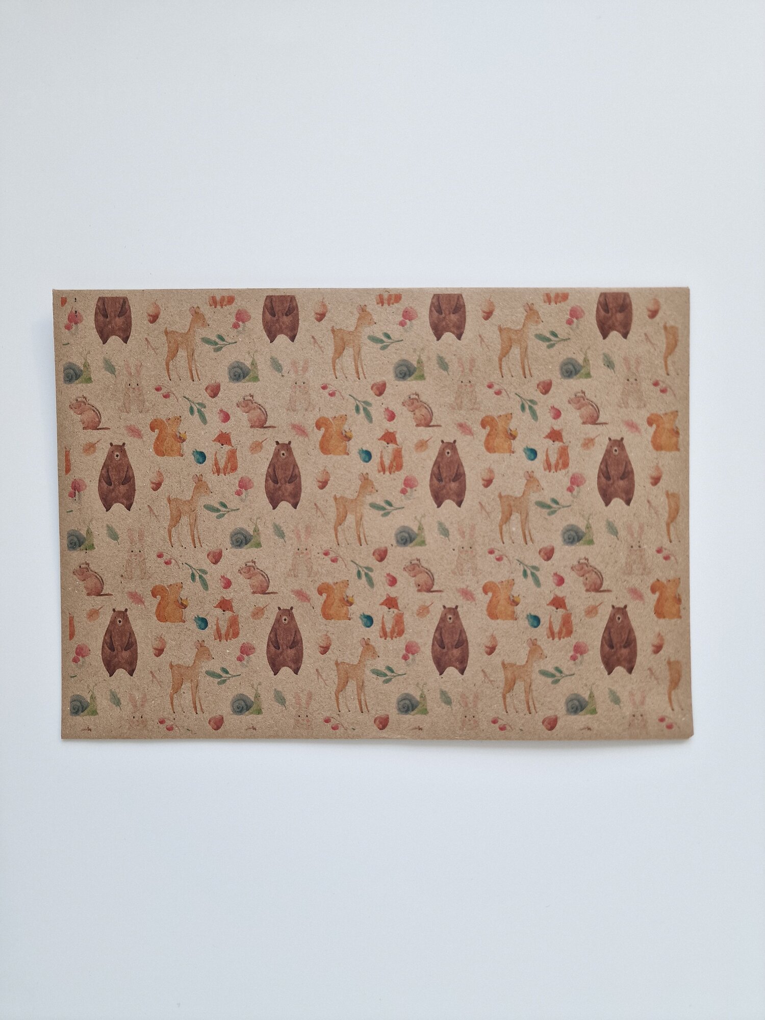 Крафтовые конверты, 10 шт, С5, с принтом "Лесные звери"