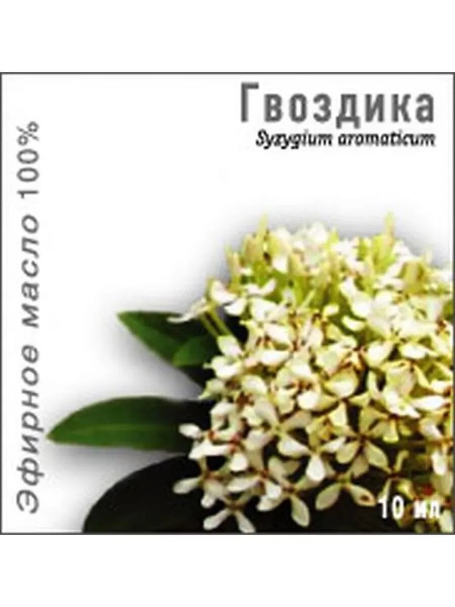 Масло эфирное гвоздика 10 мл в индивидуальной упаковке-2шт.